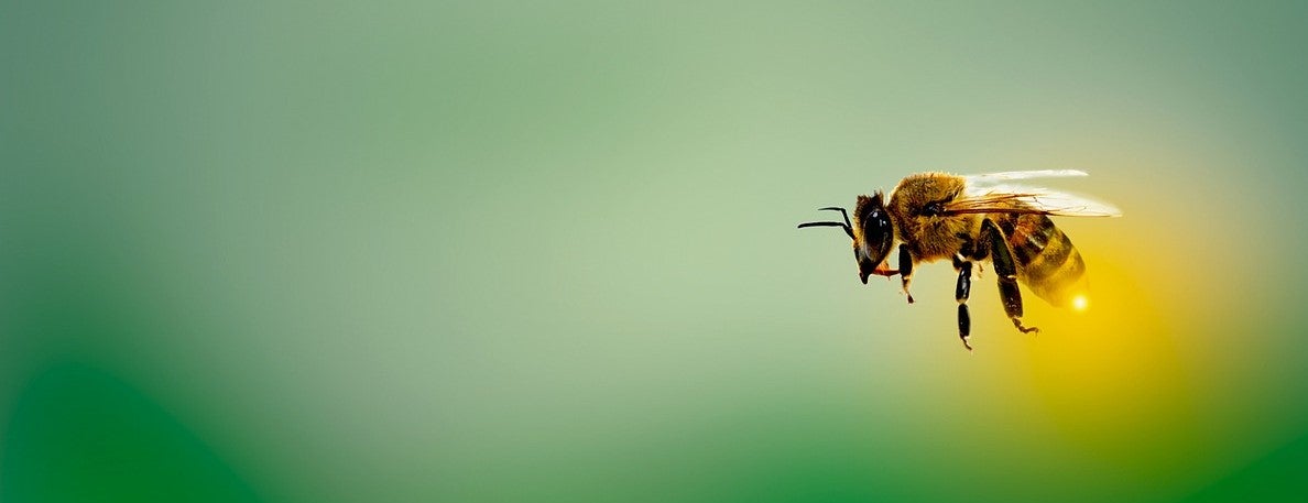 BEES Administrative Unit | College of Natural & Agricultural Sciences